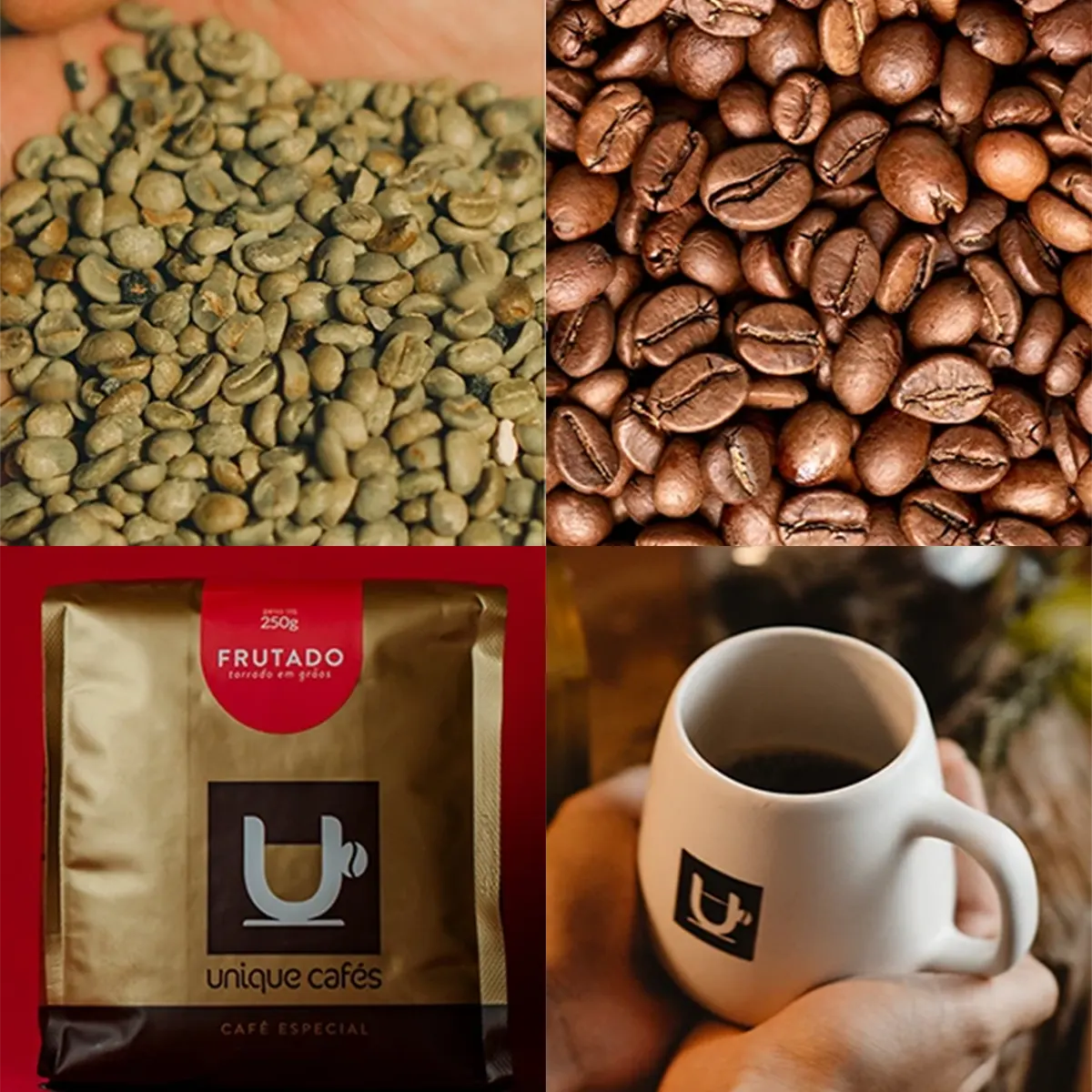 Não tome mais café velho - Aprenda identificar pontos importantes!